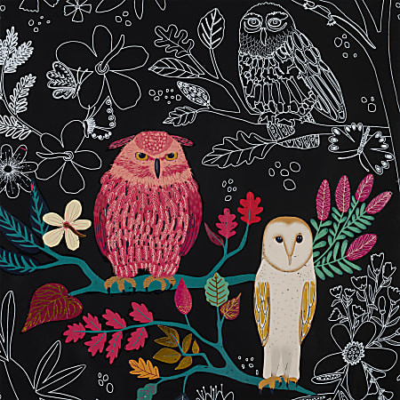 Brea Reese Scratch Art Paper Pad Kit 9 x 12 Owls Moons - Office Depot