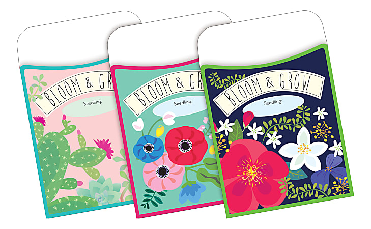 Barker Creek Card Stock FoldersPockets Letter Size Petals Prickles Set ...
