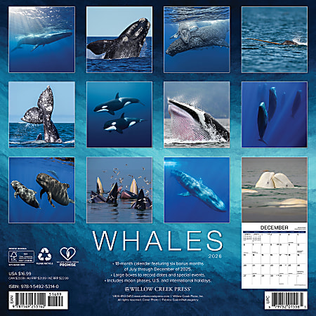 2026 Willow Creek Press Animals Monthly Wall Calendar 12 x 12 Whales ...