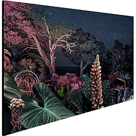 Samsung QM75B Digital Signage Display 75 LCD 24 Hours7 Days Operation ...