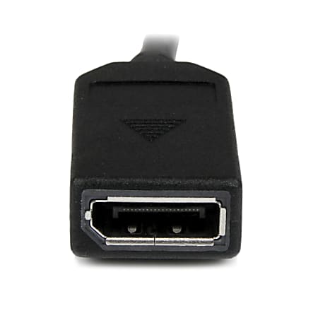 StarTech.com LFH 59 Male To Dual Female DisplayPort DMS 59 Cable 8 ...