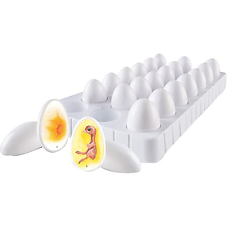 Learning Resources Chick Life Cycle Exploration Set Grades K 4 - Office ...