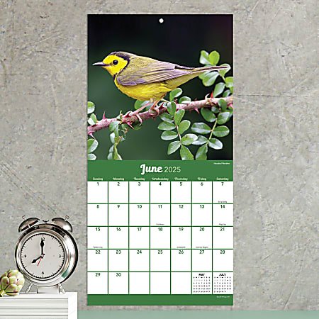 2025 TF Publishing Monthly Mini Wall Calendar 7 x 7 Backyard Birds ...