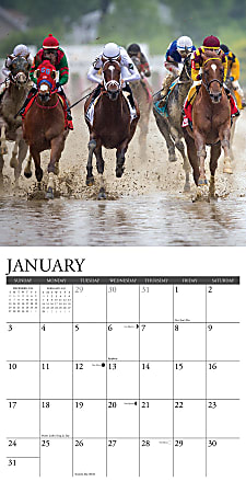 Willow Creek Press Animals Monthly Wall Calendar Horse Racing 12 x 12 ...