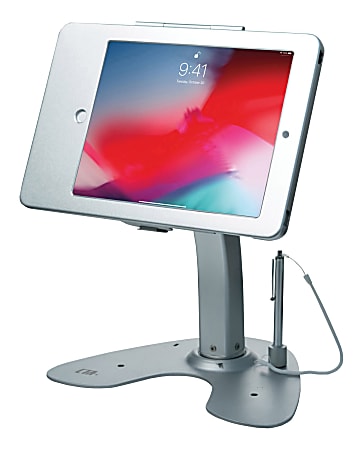 ipad mini 2 security