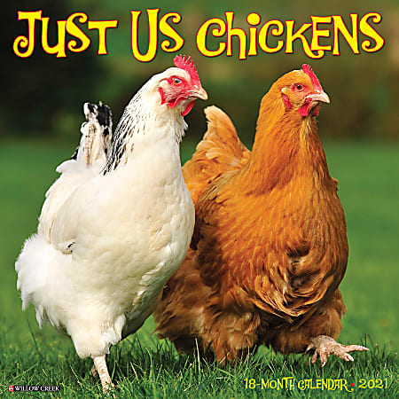 Willow Creek Press Animals Monthly Wall Calendar Chickens 12 x 12 ...