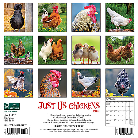 Willow Creek Press Animals Monthly Wall Calendar Chickens 12 x 12 ...