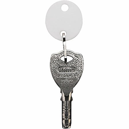 Sparco Oval Key Tags 0.75 Length x 1.10 Width Oval Hook Fastener ...