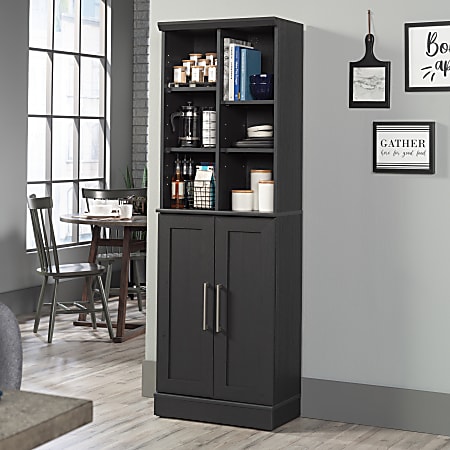 Sauder HomePlus Modern 24 W Storage Cabinet With Adjustable Doors Raven ...