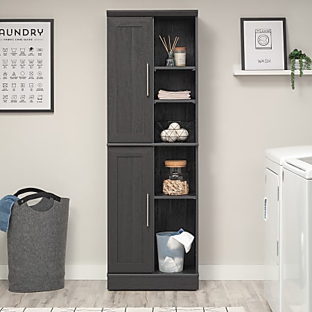 Sauder HomePlus Modern 24 W Storage Cabinet With Adjustable Doors Raven ...