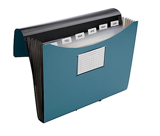 Office Depot Brand Plastic File 13 Pocket Expansion 5 12 8 12 x 11 ...