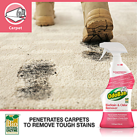 OdoBan Professional Ready to Use BioStain And Odor Remover 32 Oz ...
