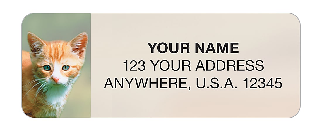 Address Sheet Labels Size 2.5 x 0.75 30 labels per sheet 4 sheets per ...