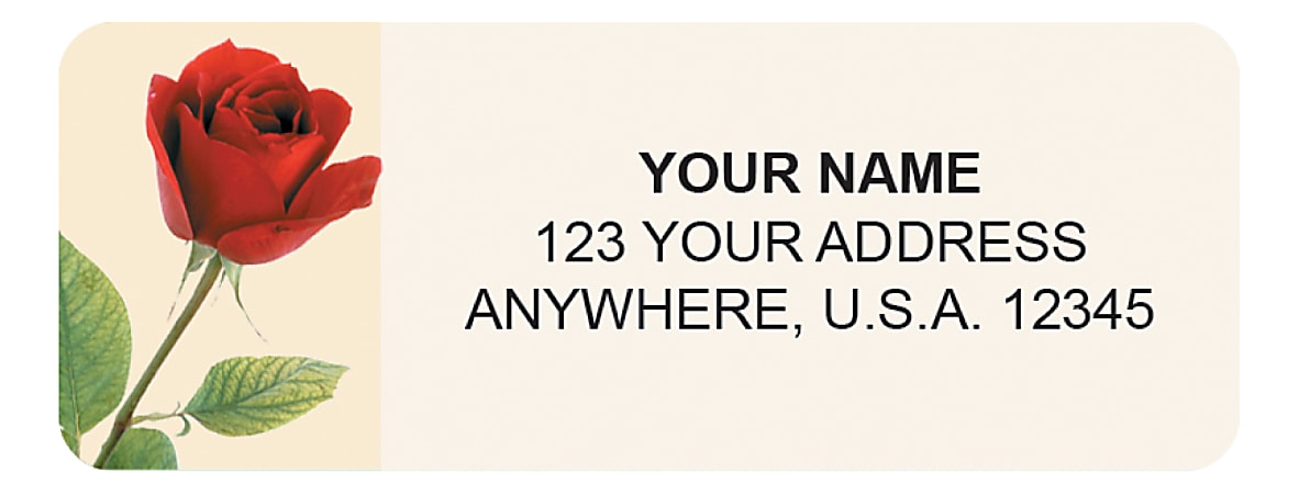 Harland Clarke Address Sheet Labels 2 12 x 34 30 Labels Per Sheet 4 ...
