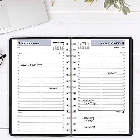 AT A GLANCE DayMinder 2026 Daily Appointment Book Planner Black Small 5 ...