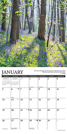 2025 Willow Creek Press Inspirational Monthly Wall Calendar 12 x 12 ...