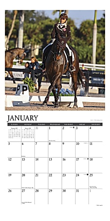 Willow Creek Press Animals Monthly Wall Calendar 12 x 12 Dressage ...