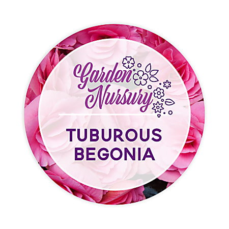 Custom Outdoor Weatherproof Full Color Labels 3 Box Of 125 Labels ...