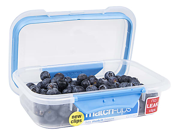 Décor Match-ups Food Storage Container, 600 mL, Blue