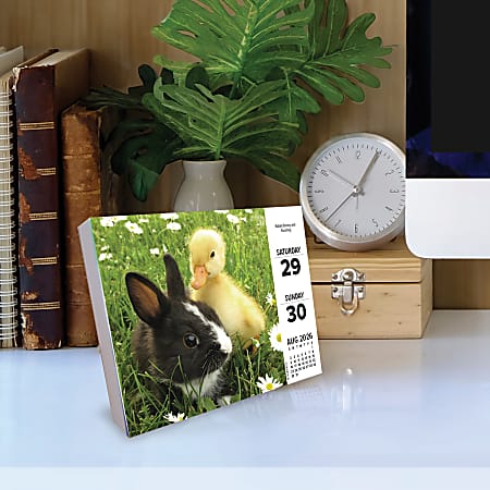 2026 Willow Creek Press Page A Day Daily Desk Calendar 6 14 x 5 12 Baby ...