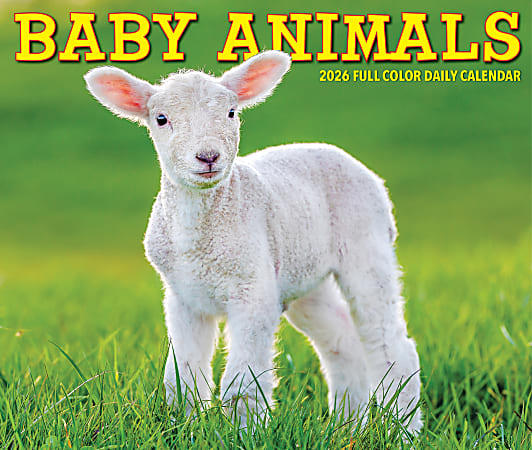 2026 Willow Creek Press Page A Day Daily Desk Calendar 6 14 x 5 12 Baby ...