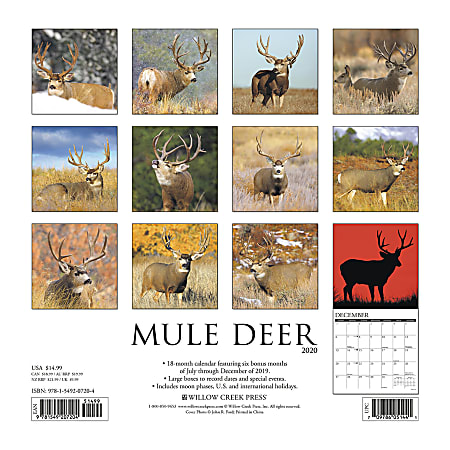 Willow Creek Press Animals Monthly Wall Calendar 12 x 12 Mule Deer ...