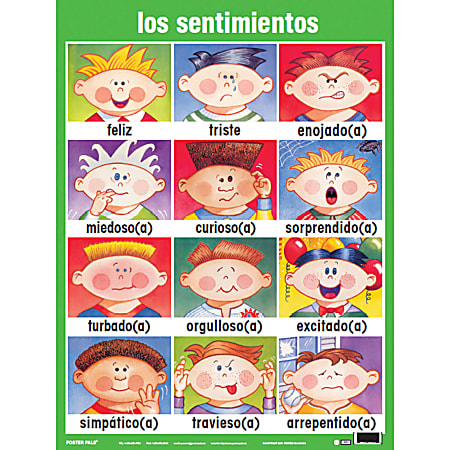 Poster Pals Spanish Essential Classroom Posters 24 x 18 Set Of 7 ...