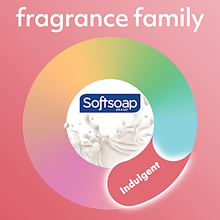 Softsoap Liquid Hand Soap Pump Moisturizing Hand Soap Liquid Milk Honey ...