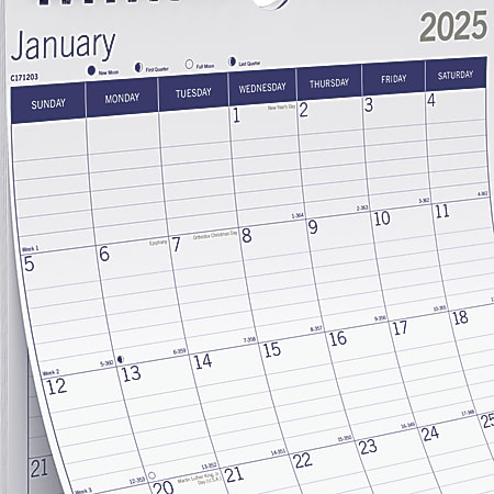 2025 Blueline DuraGlobe Monthly Wall Calendar 12 x 17 BlueWhite January ...