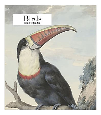 Retrospect Birds Monthly Desk Calendar 6 14 x 5 12 January To December ...
