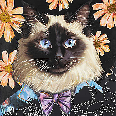Brea Reese Scratch Art Paper Pad Kit 9 x 12 Pet Fashion Portraits ...