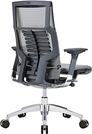 Raynor Powerfit Ergonomic Mesh Mid Back Executive Chair GrayBlack ...