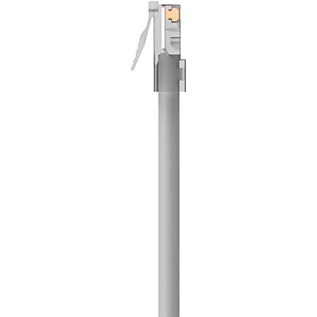 Belkin CAT5e Patch Cable A3L791B07 - Office Depot