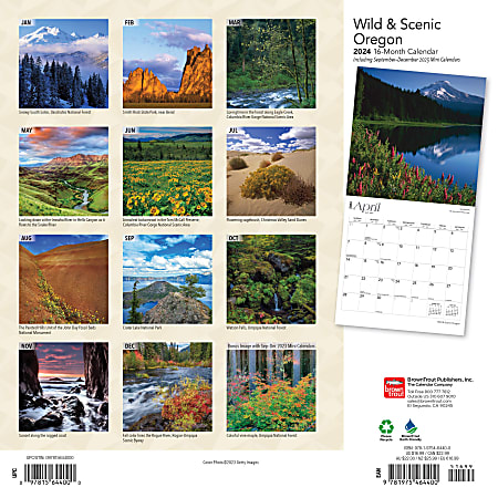 2024 Brown Trout Monthly Square Wall Calendar 12 x 12 Oregon Wild ...