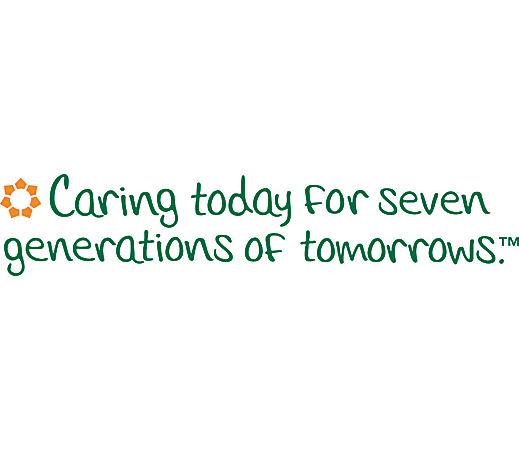 Seventh Generation 2 Ply Paper Towels 100percent Recycled Brown Roll Of ...