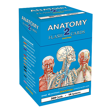 QuickStudy Flash Cards 4 x 3 12 Human Anatomy 2 Pack Of 300 Cards ...