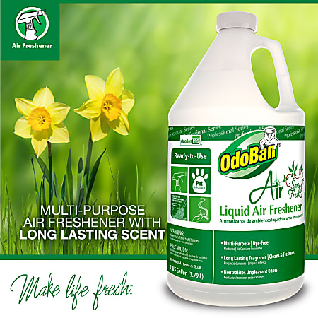 OdoBan Professional Series Ready to Use Air Spring Fresh Liquid Air ...