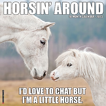 Willow Creek Press Animals Monthly Wall Calendar 12 x 12 Horsin Around ...