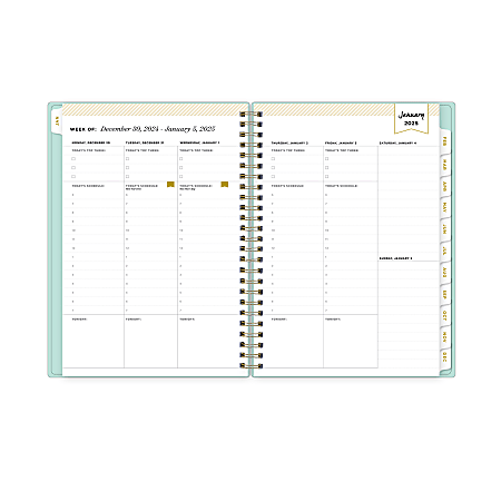 2025 Day Designer WeeklyMonthly Planning Calendar 5 78 x 8 58 Mint ...