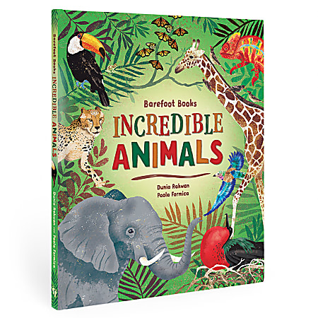 Barefoot Books 3rd Grade STEAM Book Bundle Set Of 4 Books - Office Depot