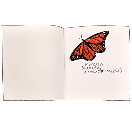 Hayes Blank Softcover Books 7 x 8 12 Unruled 28 Pages 14 Sheets White ...