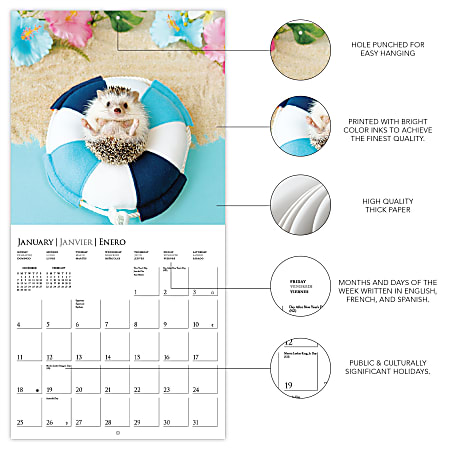 2026 Graphique Animals Monthly Mini Wall Calendar 7 x 7 Happiest ...