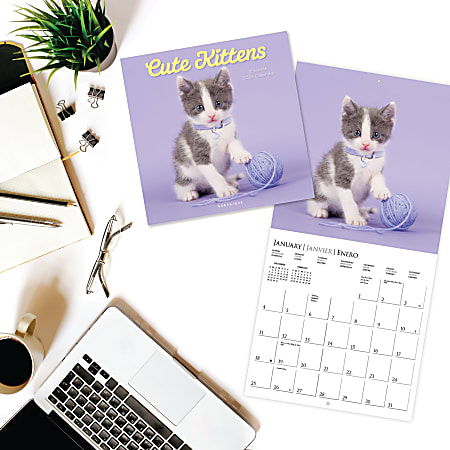 2026 Graphique Animals Monthly Wall Calendar 12 x 12 Cute Kittens ...