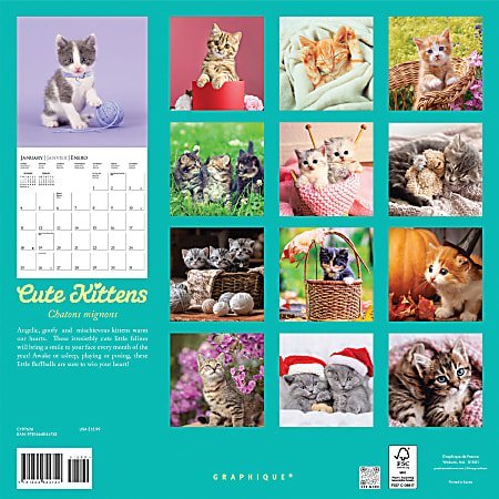 2026 Graphique Animals Monthly Wall Calendar 12 x 12 Cute Kittens ...