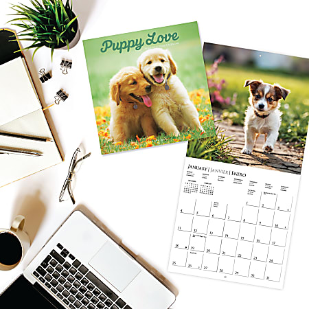 2026 Graphique Animals Monthly Wall Calendar 12 x 12 Puppy Love January ...