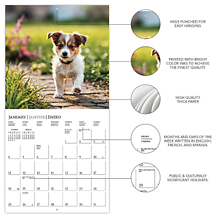 2026 Graphique Animals Monthly Wall Calendar 12 x 12 Puppy Love January ...