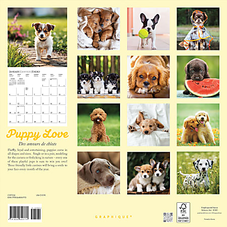 2026 Graphique Animals Monthly Wall Calendar 12 x 12 Puppy Love January ...