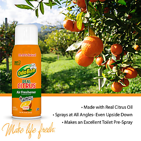 OdoBan Real Citrus Air Freshener 360 Spray Orange 10 Oz Pack Of 6 ...