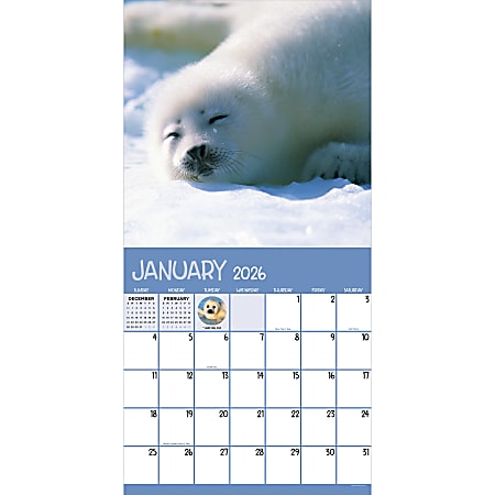 2026 TF Publishing Animals Monthly Wall Calendar 12 x 12 Baby Animals ...