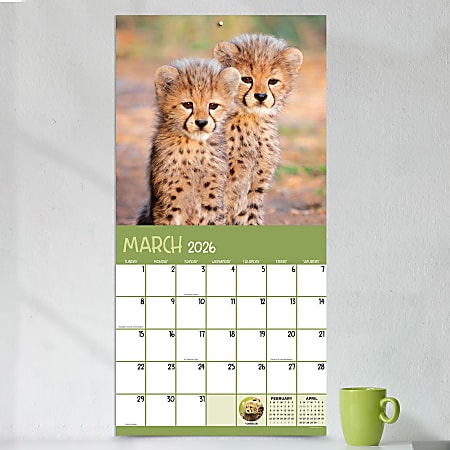 2026 TF Publishing Animals Monthly Wall Calendar 12 x 12 Baby Animals ...
